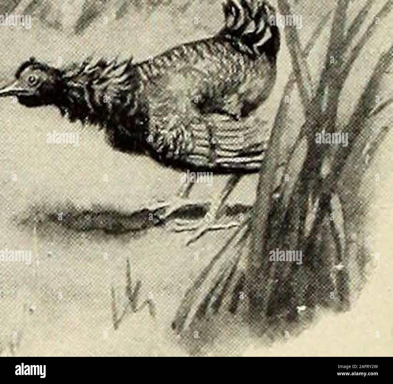 Groaning table hi-res stock photography and images - Alamy