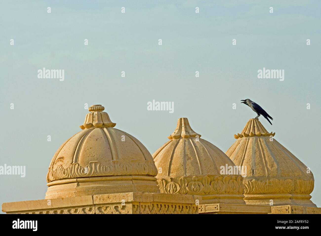 Indian temple and birds hi-res stock photography and images - Alamy