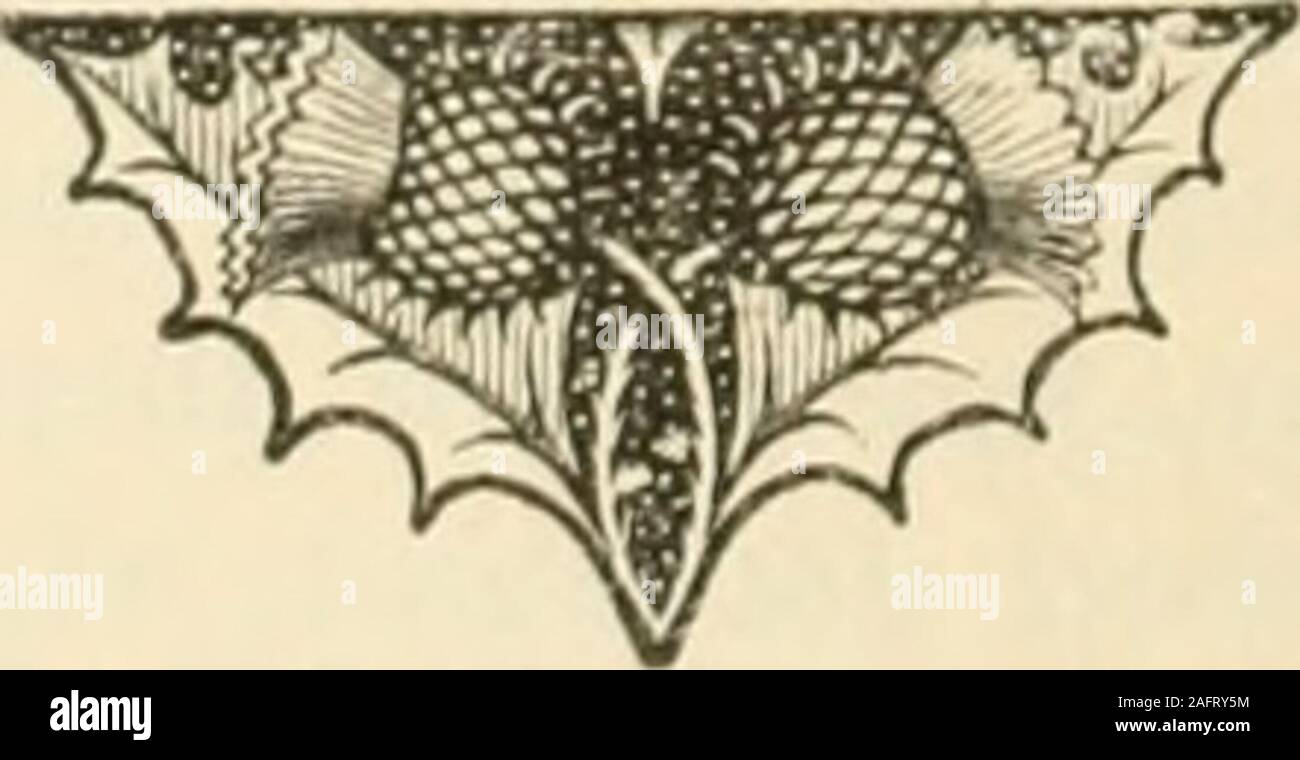 Maria Coburn High Resolution Stock Photography and Images - Alamy