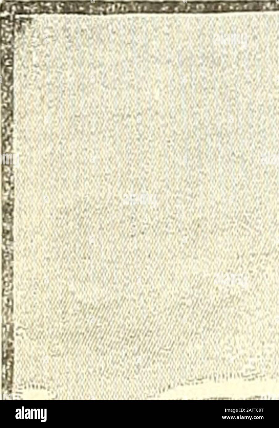 Gash bags hi-res stock photography and images - Alamy