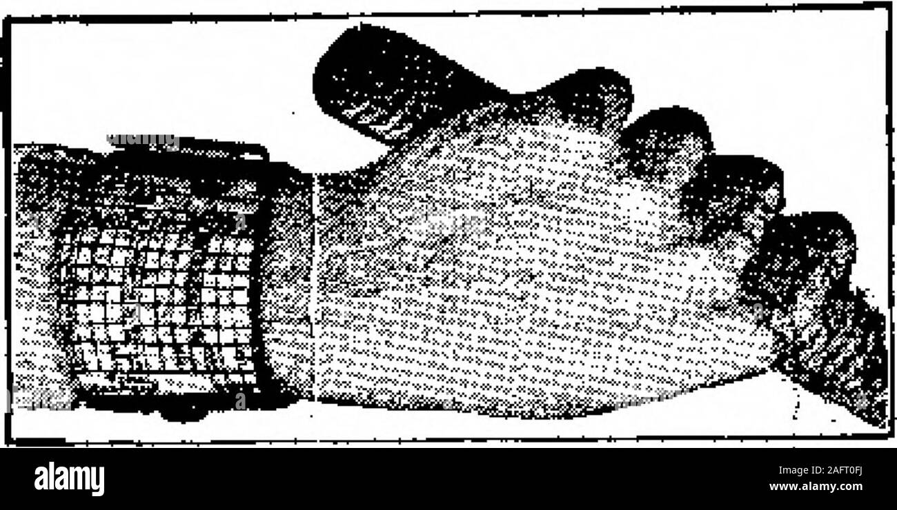 Peculiar privilege hi-res stock photography and images - Alamy