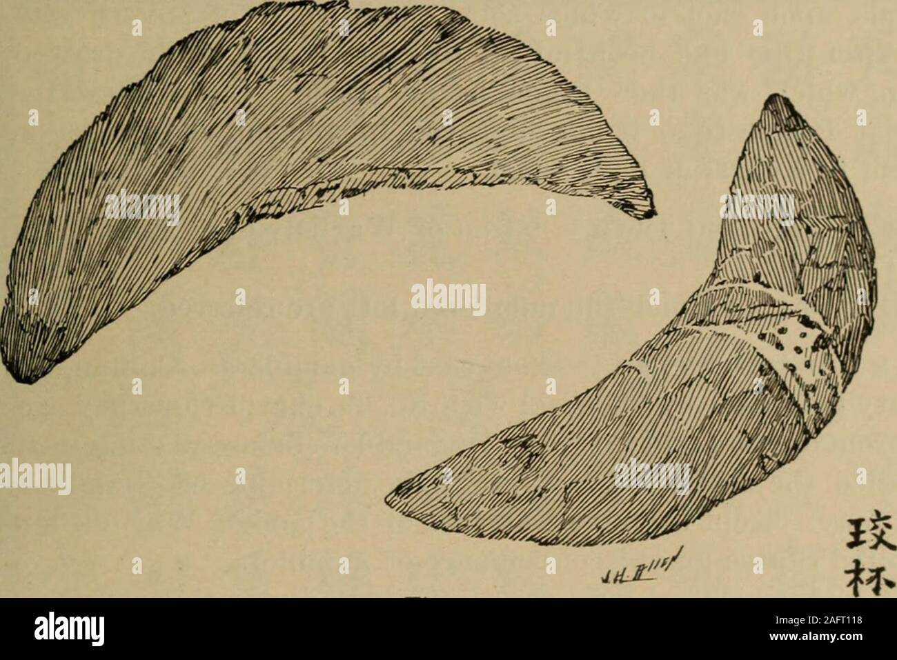 Teraphim hi-res stock photography and images - Alamy