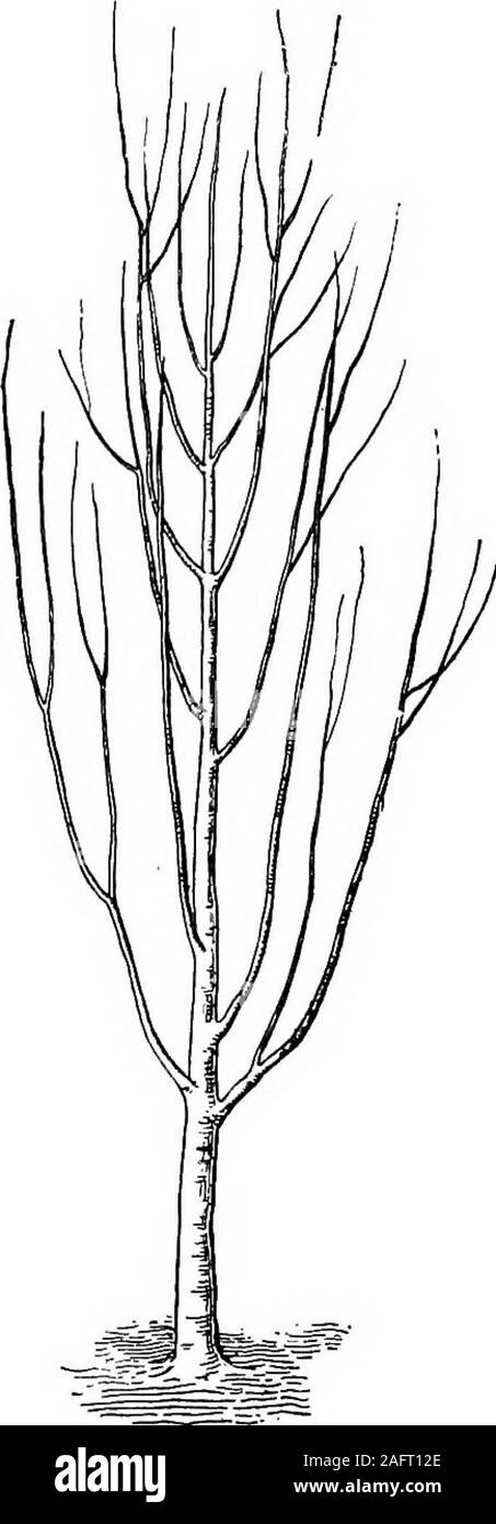 Thirteen forms Black and White Stock Photos & Images - Alamy