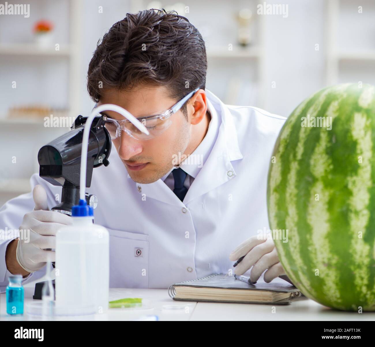 The scientist testing watermelon in lab Stock Photo - Alamy