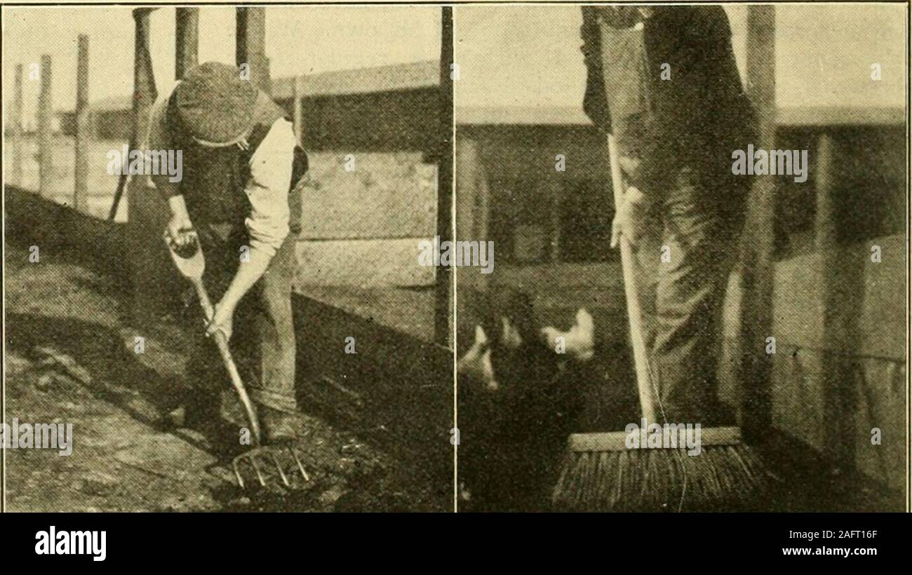 . Poultry houses and fixtures. How to lay out poultry plants ... FIG ...