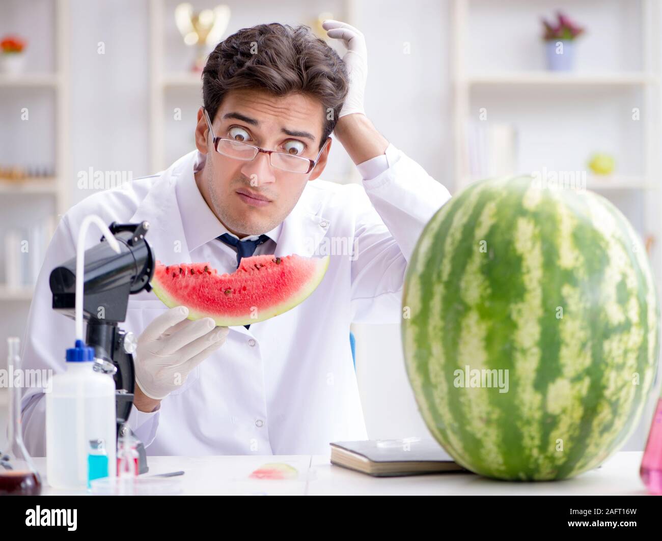 The scientist testing watermelon in lab Stock Photo - Alamy
