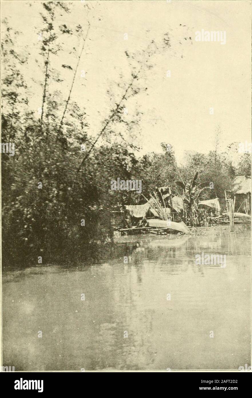 Philippine war 1901 hi-res stock photography and images - Alamy