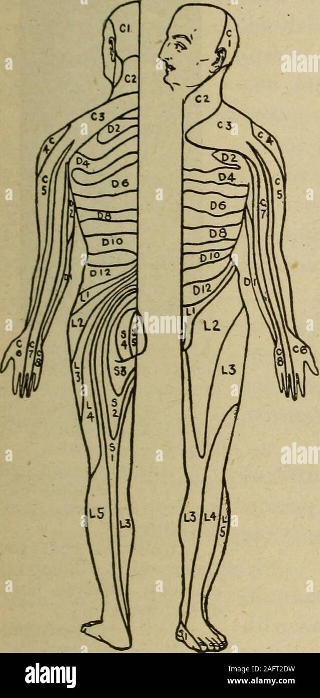. Medical diagnosis for the student and practitioner. n raisedand ...