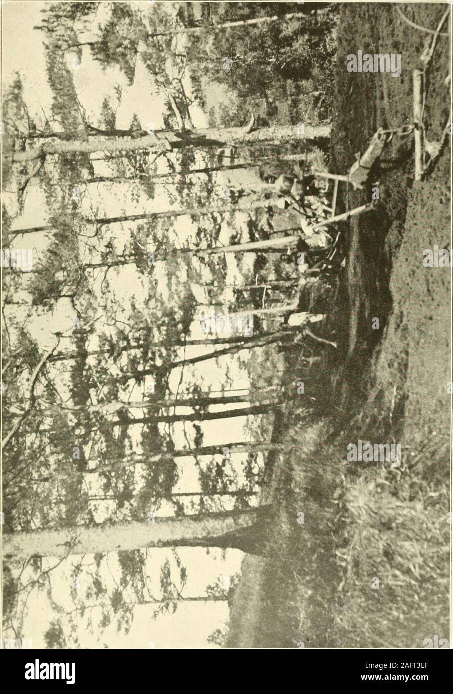 Philippine war 1901 hi-res stock photography and images - Alamy