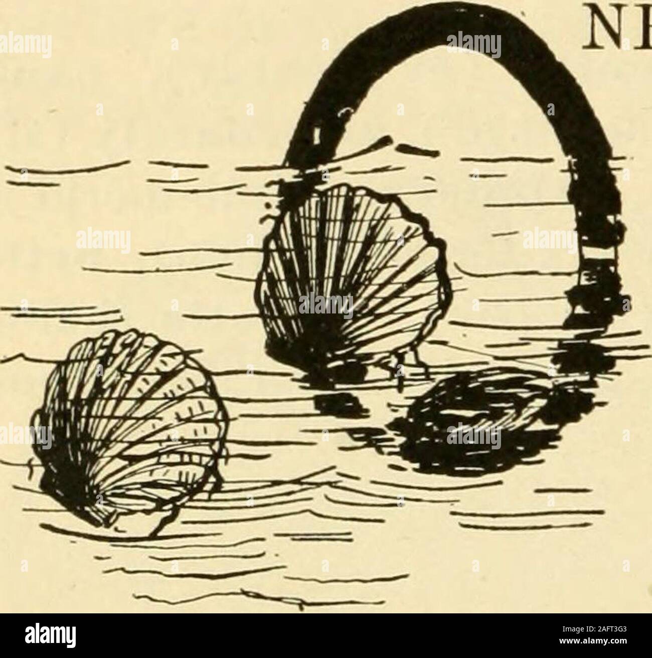 Behoove hi-res stock photography and images - Alamy