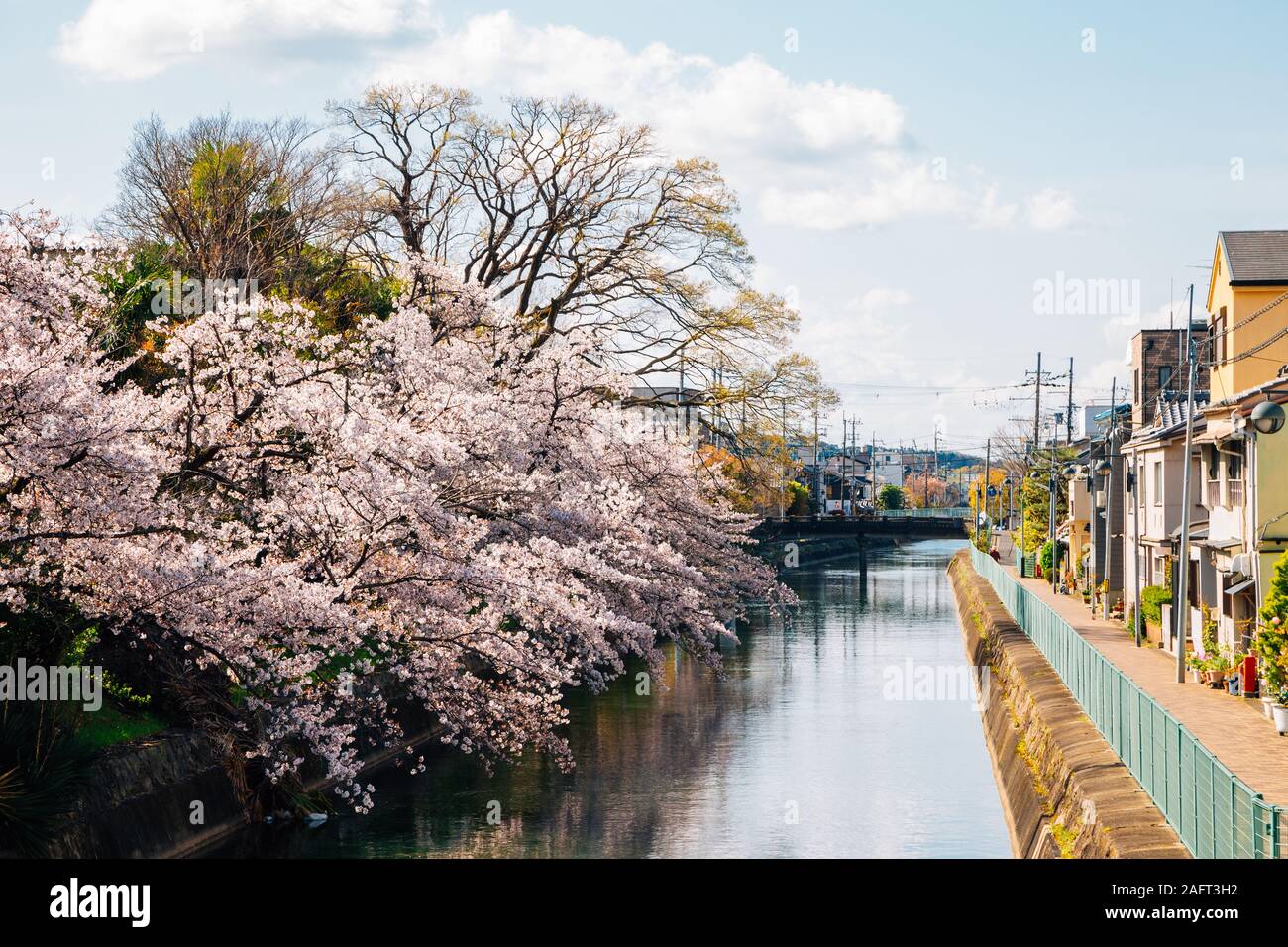 Beautiful traditional riverside residential house hi-res stock ...