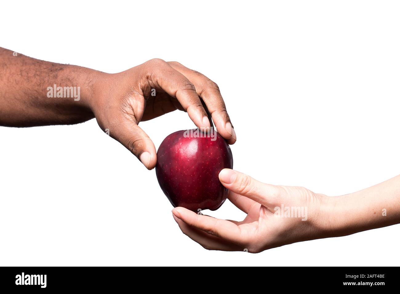 Two Hands Touching A Apple
