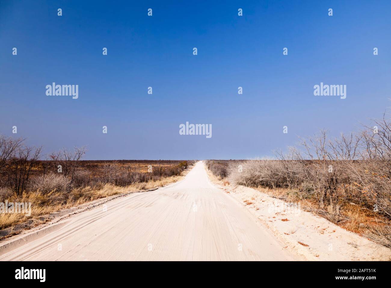 Four wheel drive in the desert hi-res stock photography and images - Alamy