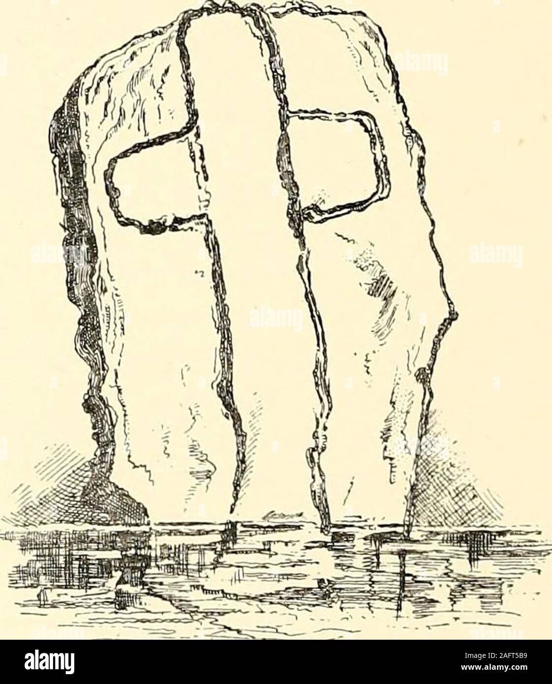 . The "Red and white" book of Menzies.... ultivation and capable of ...