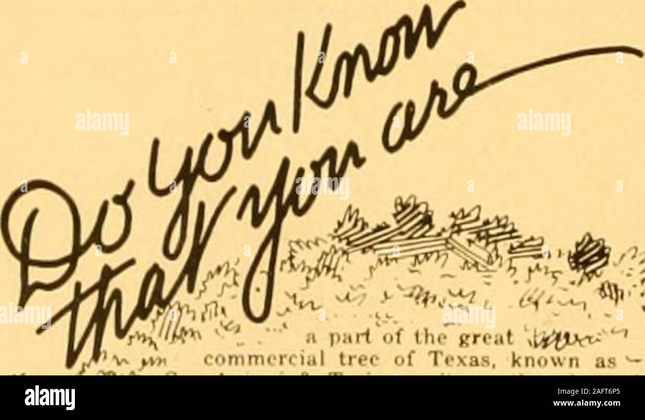 Thousand dol lars hi-res stock photography and images - Alamy