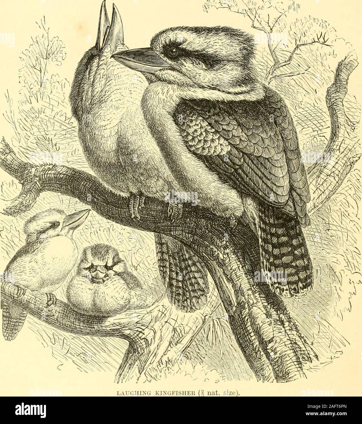 Stuart baker hi-res stock photography and images - Alamy