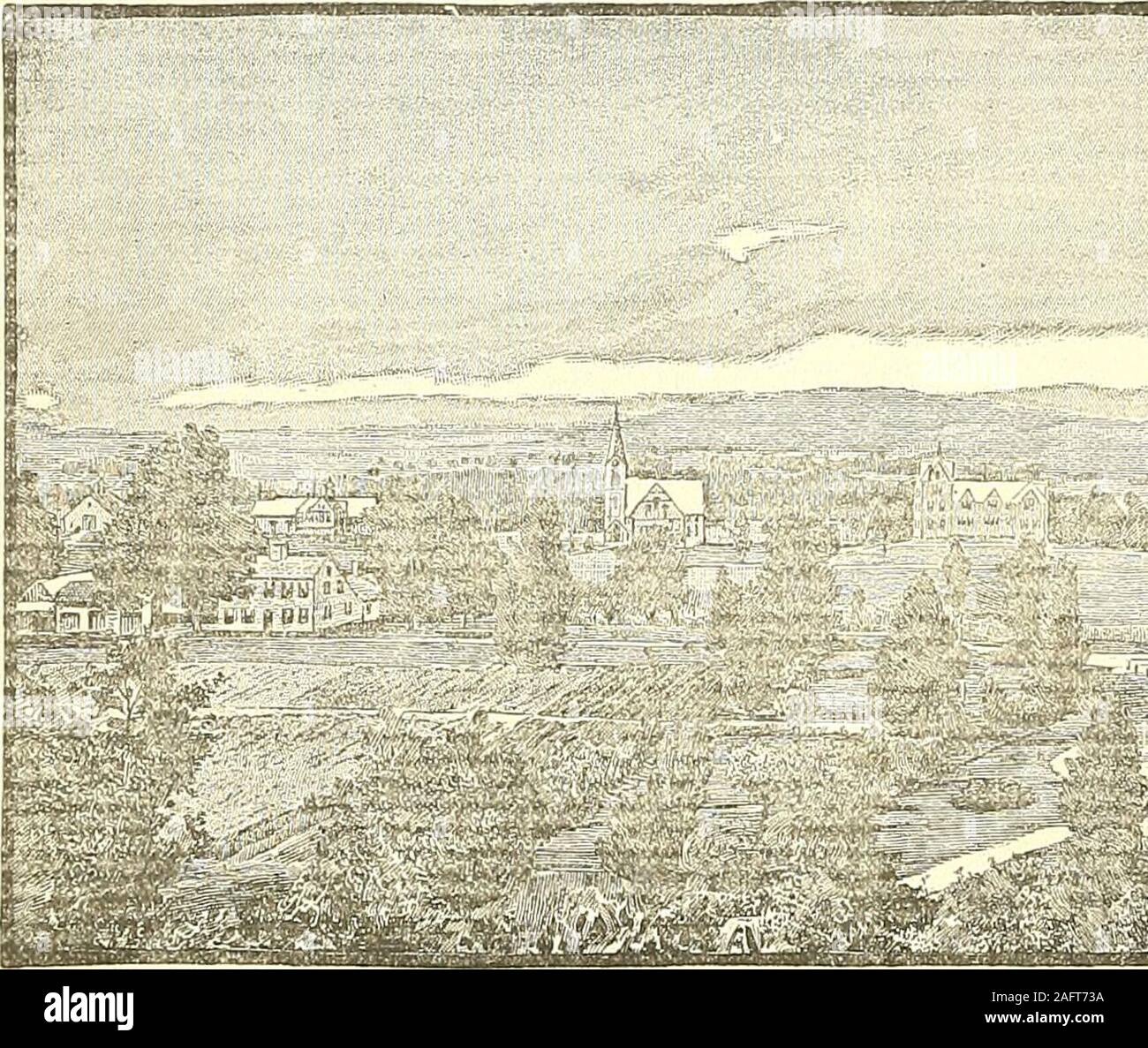 Gash bags hi-res stock photography and images - Alamy