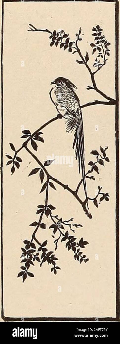 . The sanitary news : healthy homes and healthy living : a weekly ...