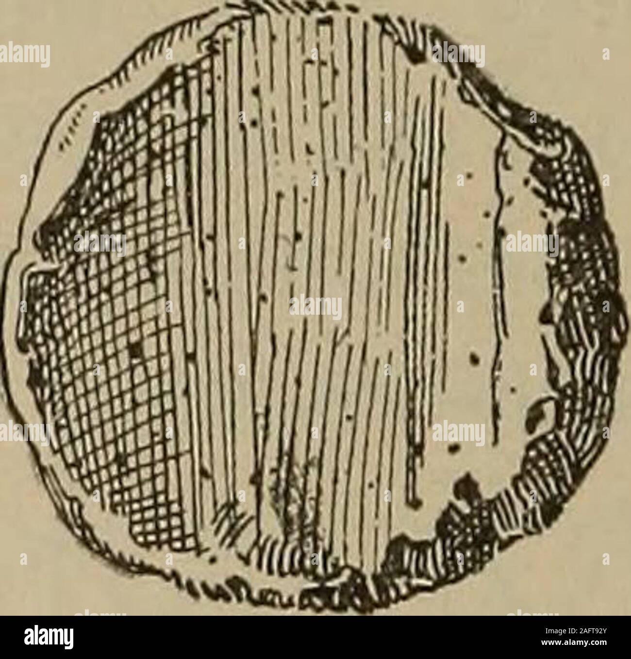 . Chess and playing cards Stock Photo - Alamy