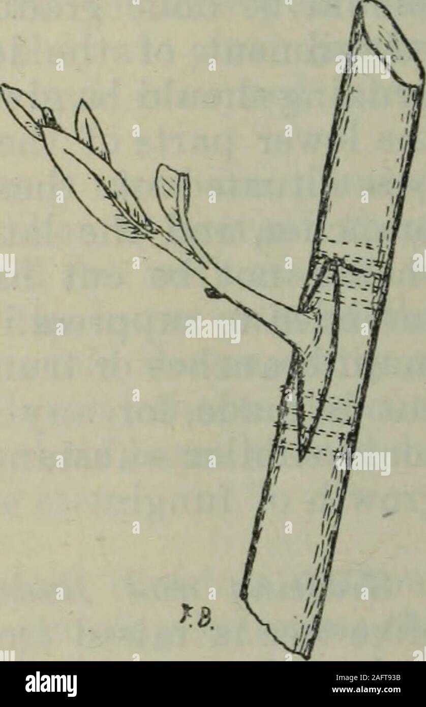 Pickling lines hi-res stock photography and images - Alamy