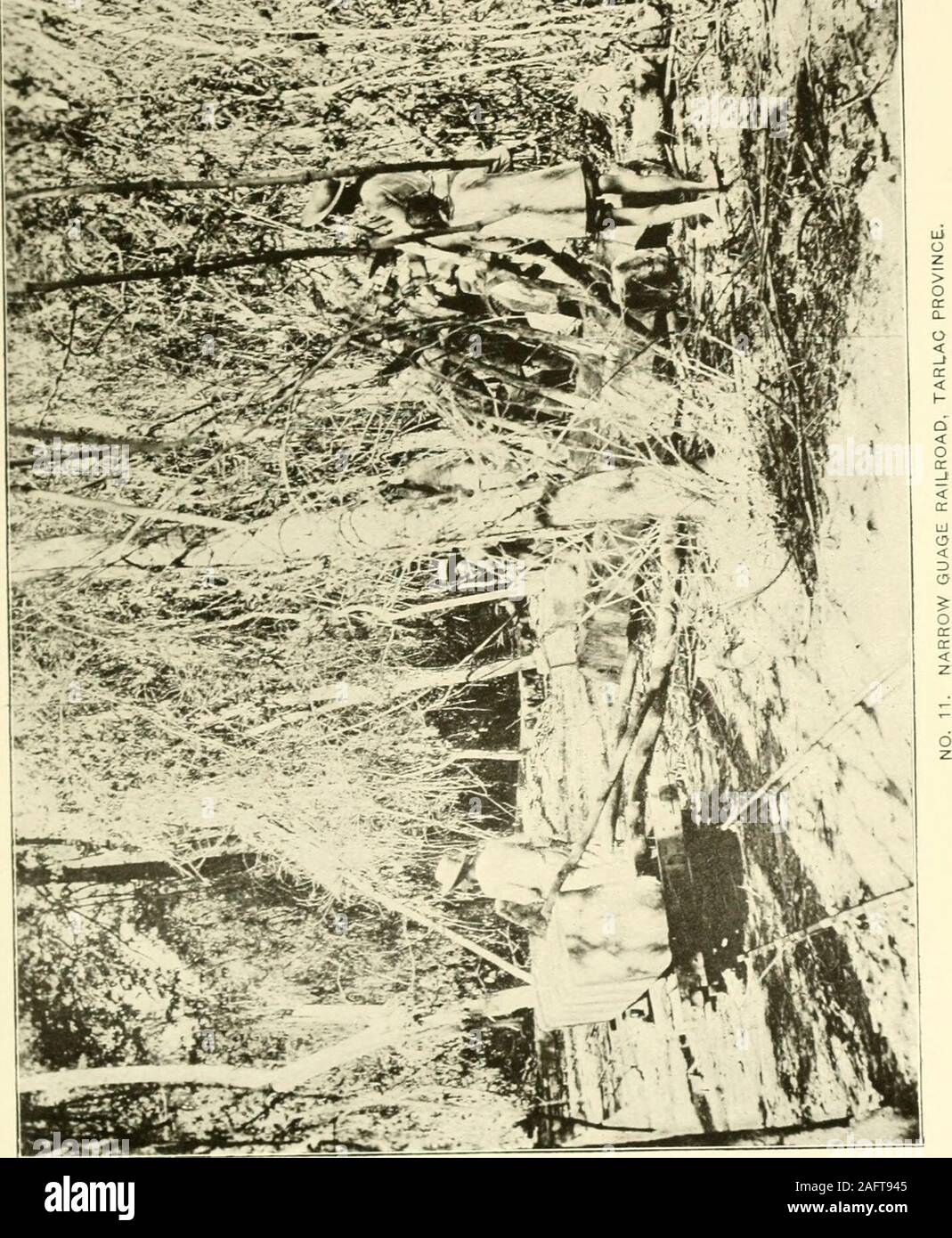 . Special report of Captain George P. Ahern ... in charge of Forestry ...