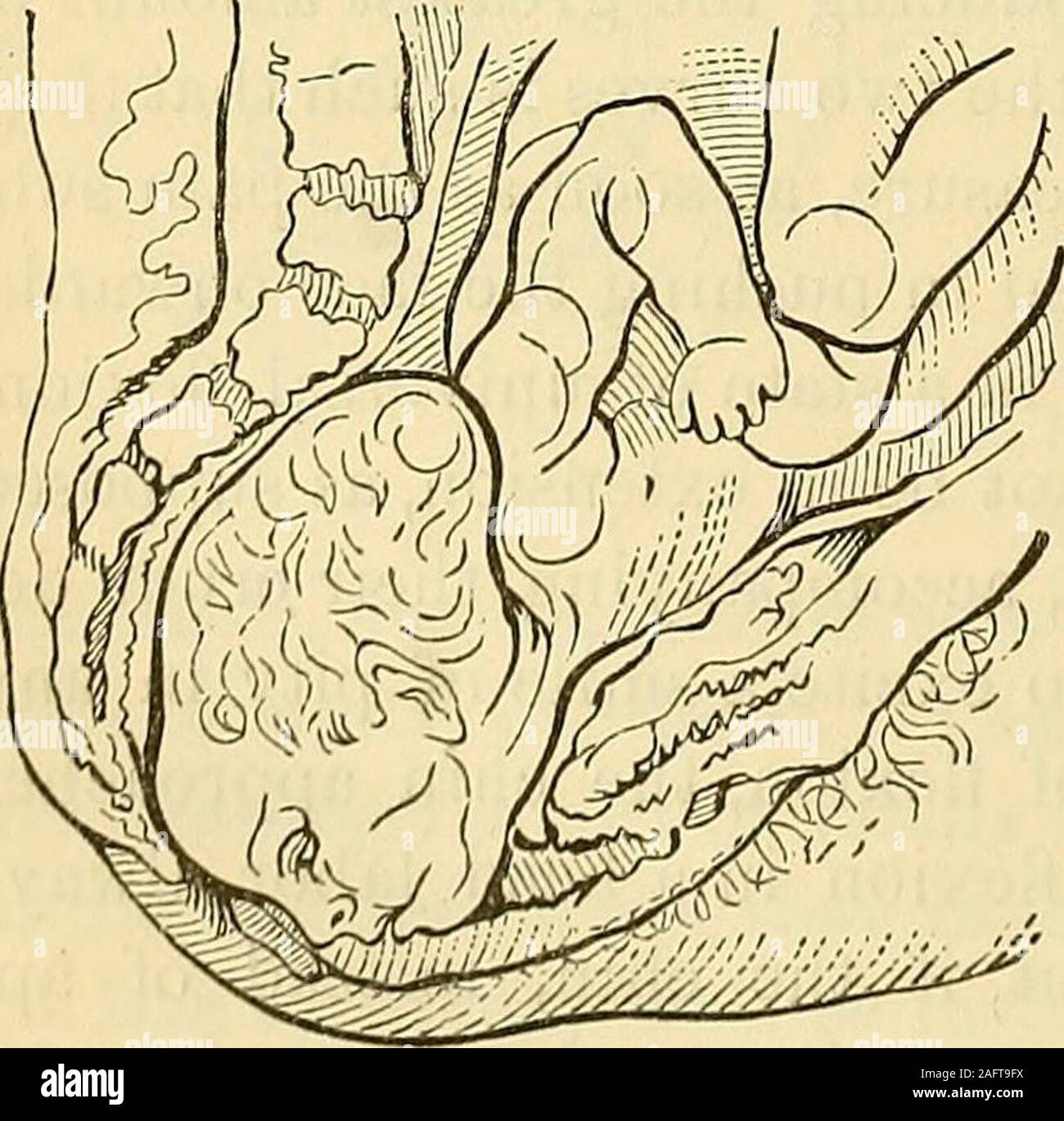 Vertex presentations hi-res stock photography and images - Alamy