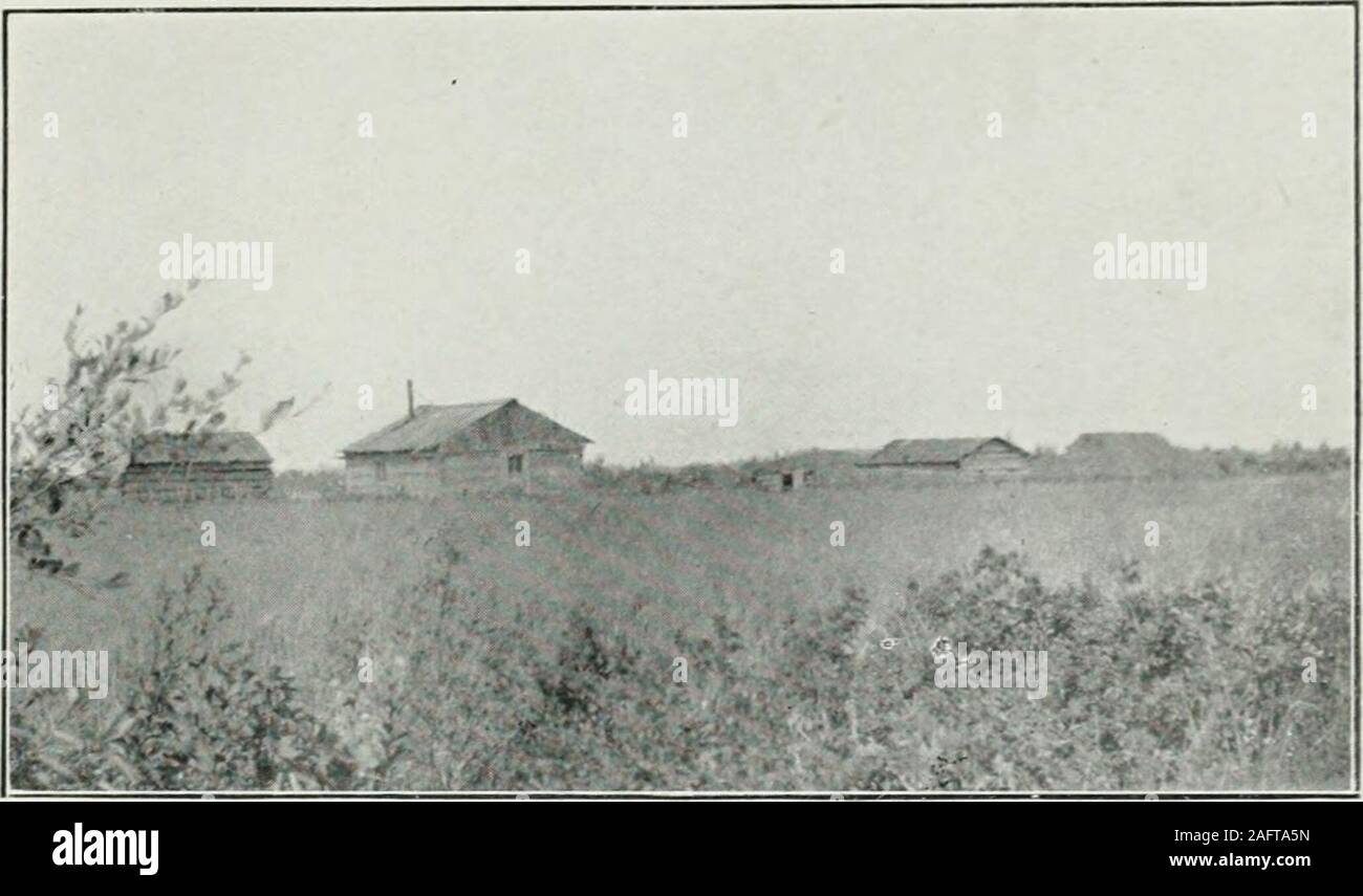 Swan river manitoba hi-res stock photography and images - Alamy