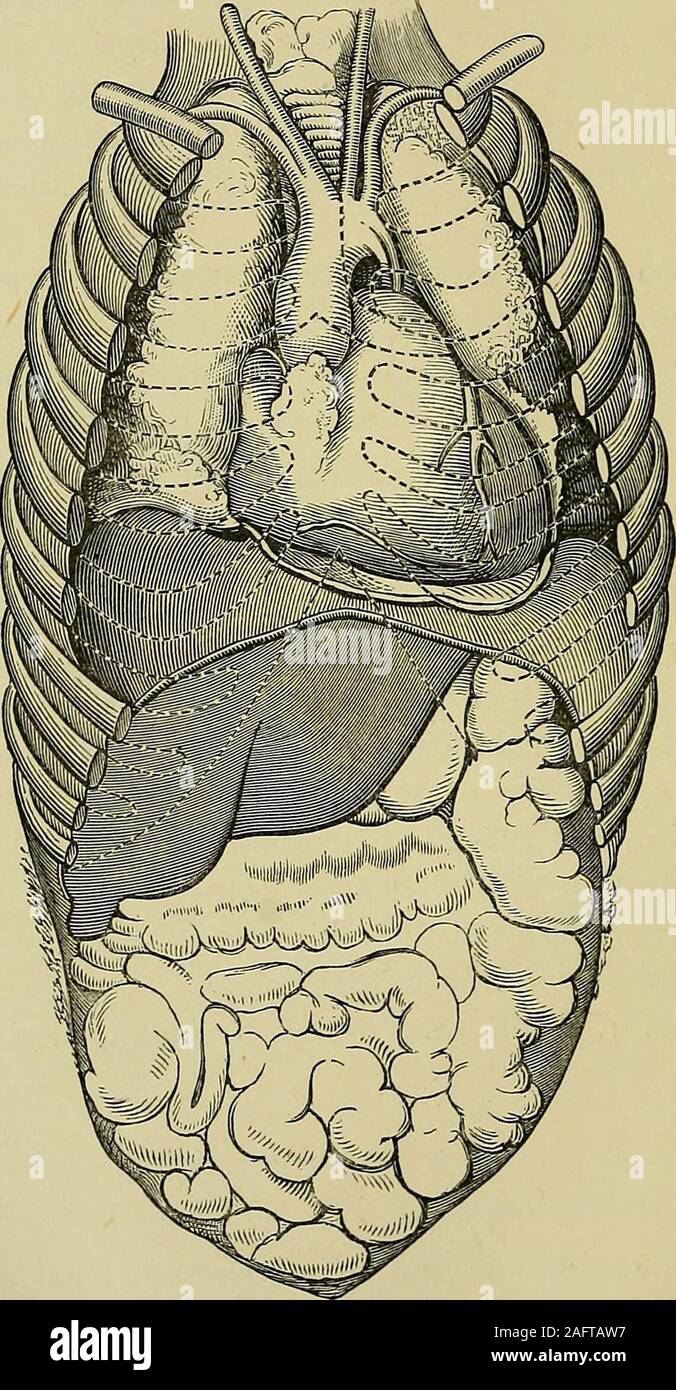 . Diseases of the heart and thoracic aorta. f the system, and the state ...