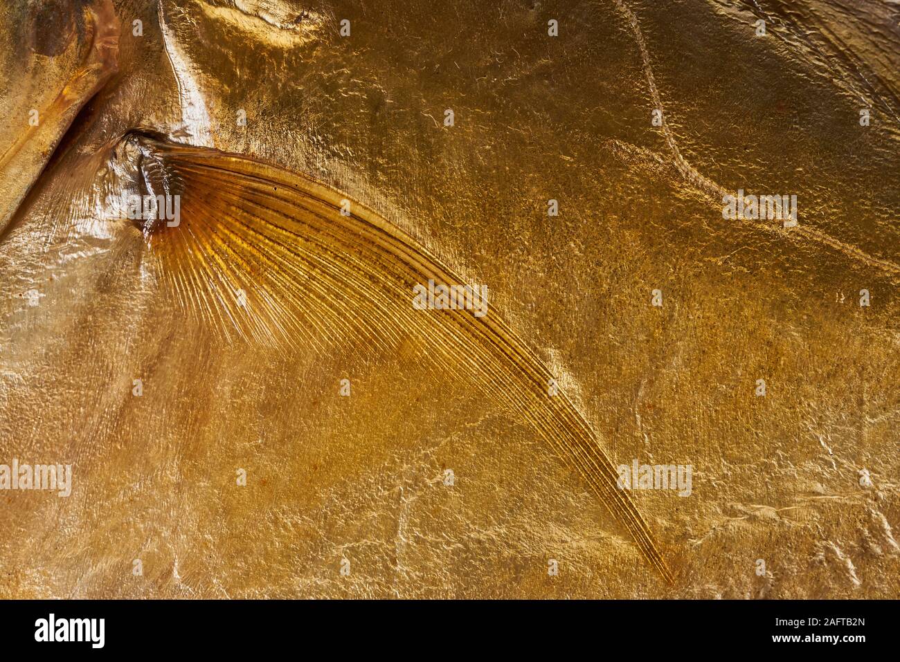 food background texture close-up of smoked fish Stock Photo - Alamy