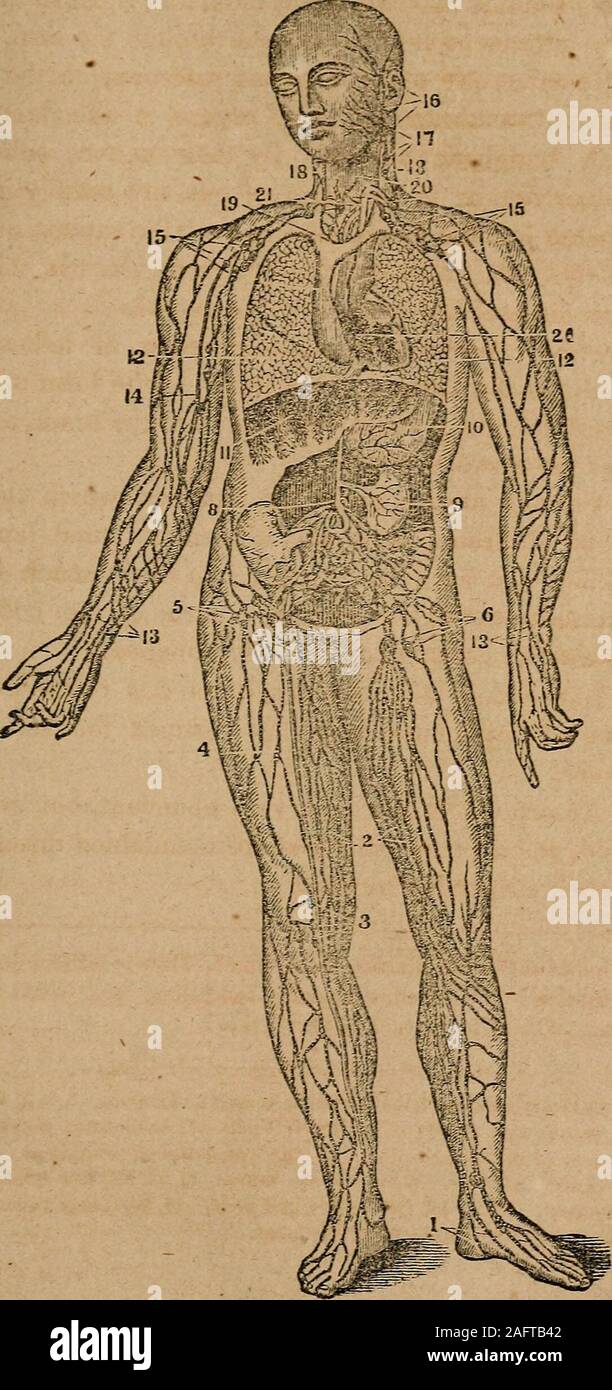 Letheon hi-res stock photography and images - Alamy