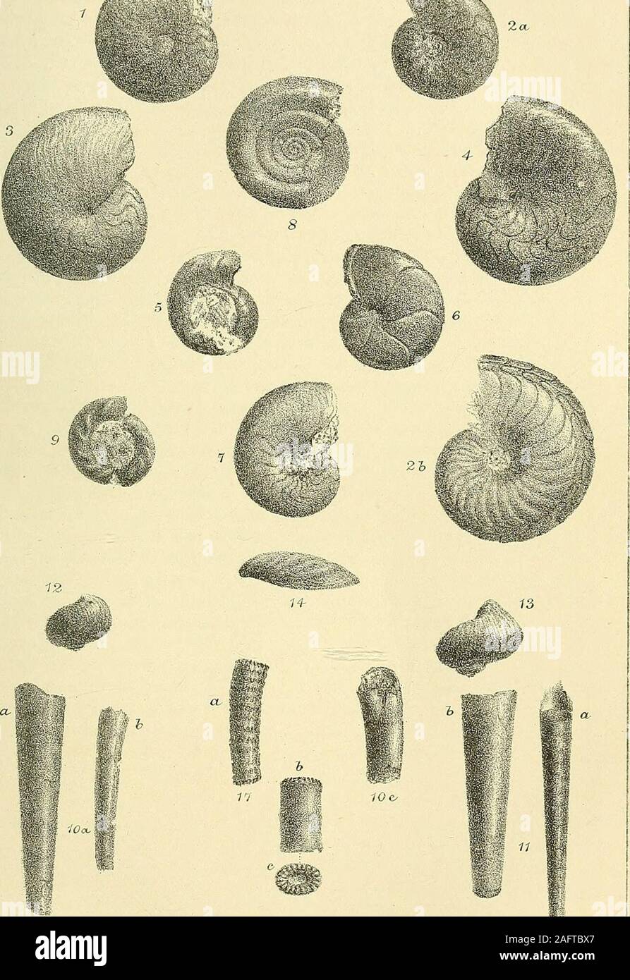 John lee torbay hi-res stock photography and images - Alamy