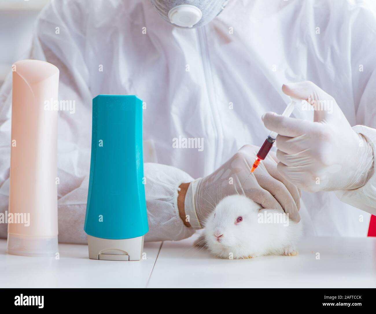 The white rabbit in scientific lab experiment Stock Photo - Alamy