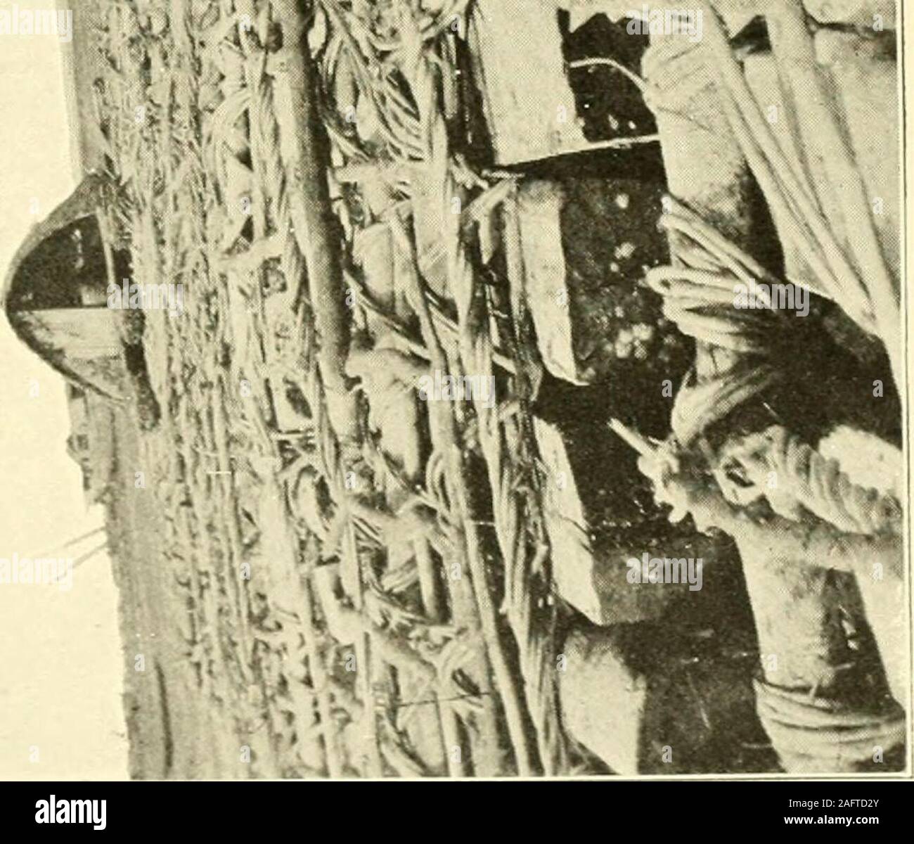 Philippine war 1901 hi-res stock photography and images - Alamy