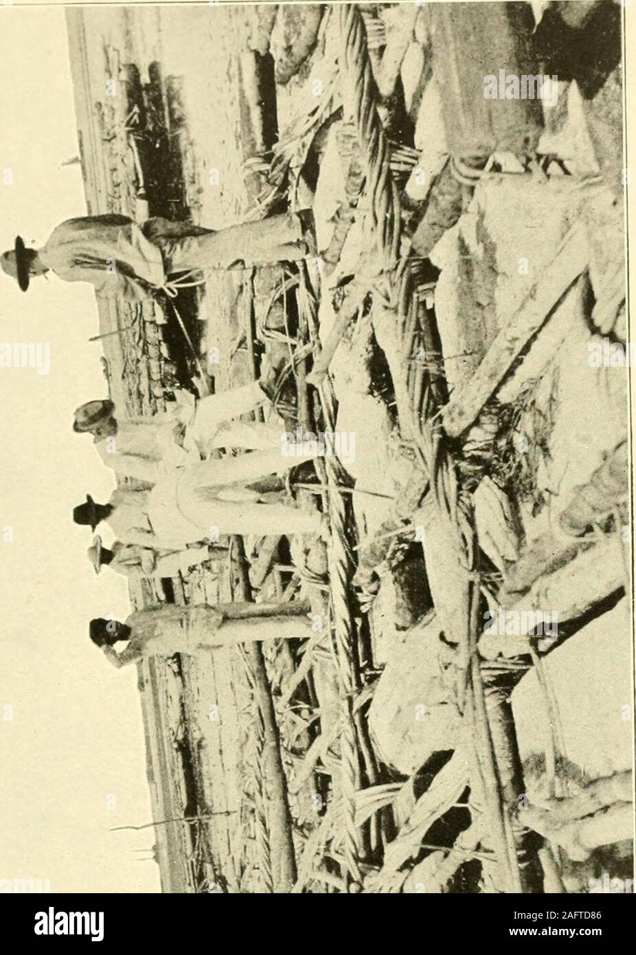 Philippine war 1901 hi-res stock photography and images - Alamy