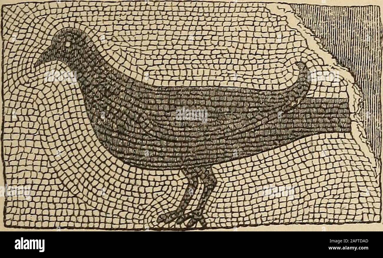 Real life dimensions hi-res stock photography and images - Alamy