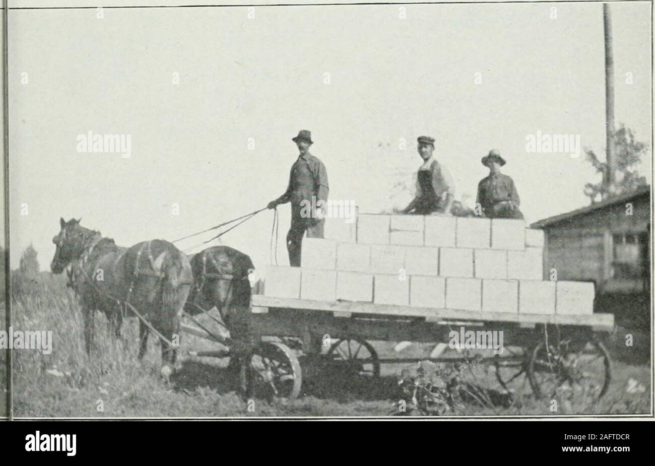 Swan river manitoba hi-res stock photography and images - Alamy