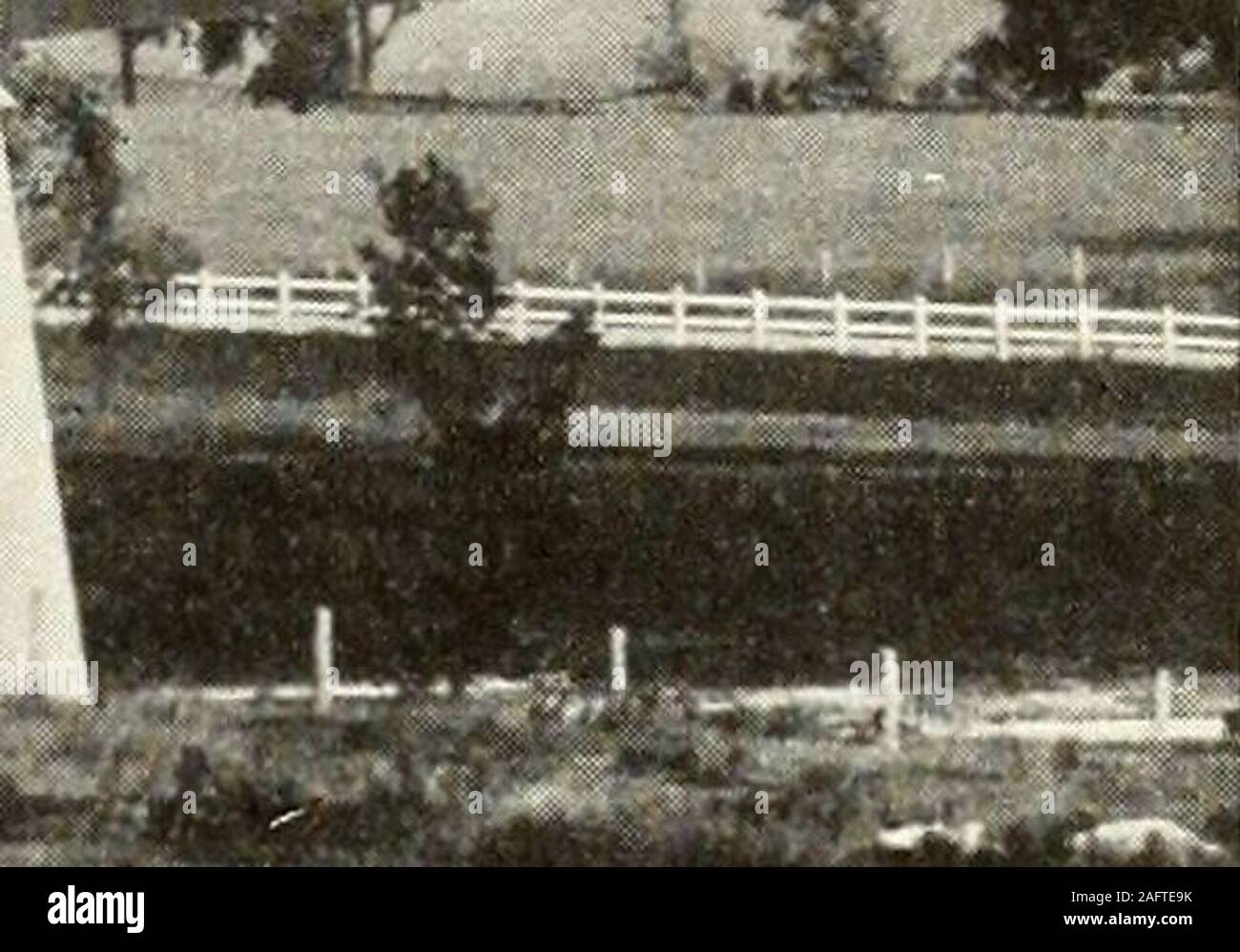 Igis High Resolution Stock Photography and Images - Alamy