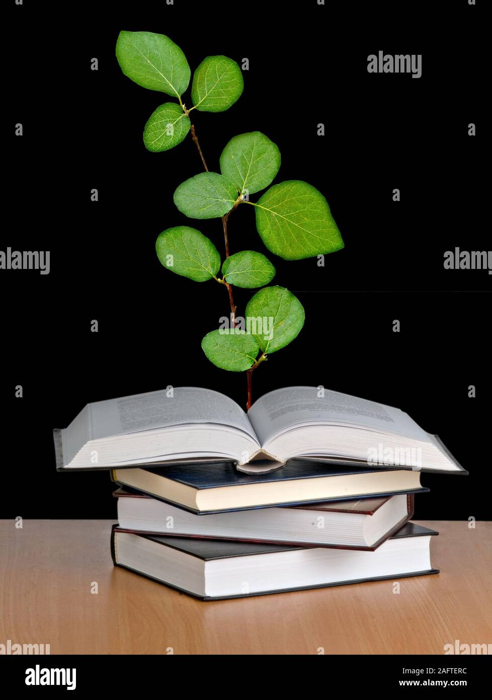 Plant growing from open book Stock Photo - Alamy