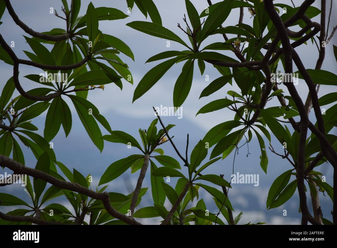 Touch the skies hi-res stock photography and images - Alamy