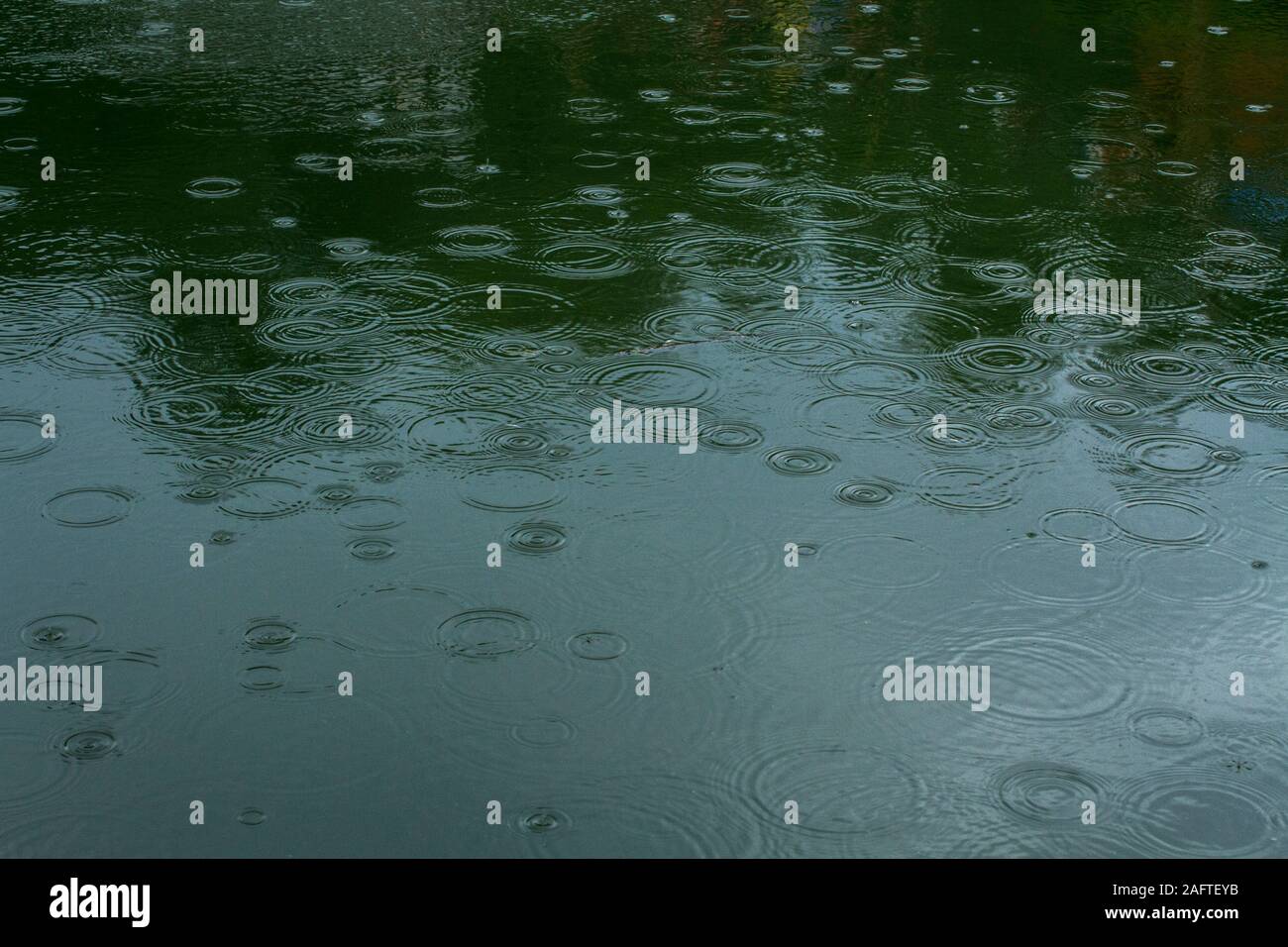 Ripples on the pond water surface on a rainy day Stock Photo - Alamy