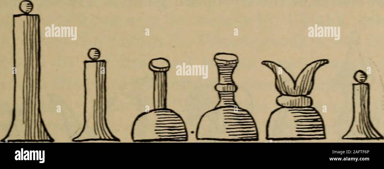 Indian ghora hi-res stock photography and images - Alamy