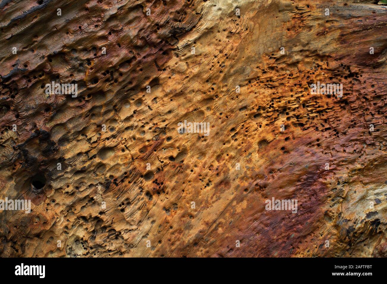 Weathered old rusty colour timber surface detail Stock Photo - Alamy