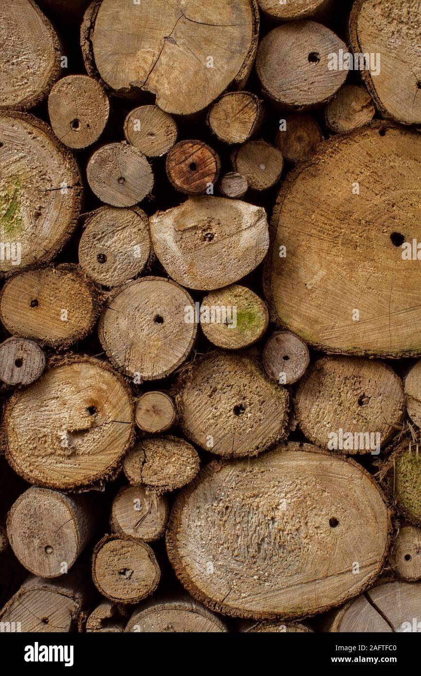 Stacked of tree branches wood pieces for photography background Stock ...