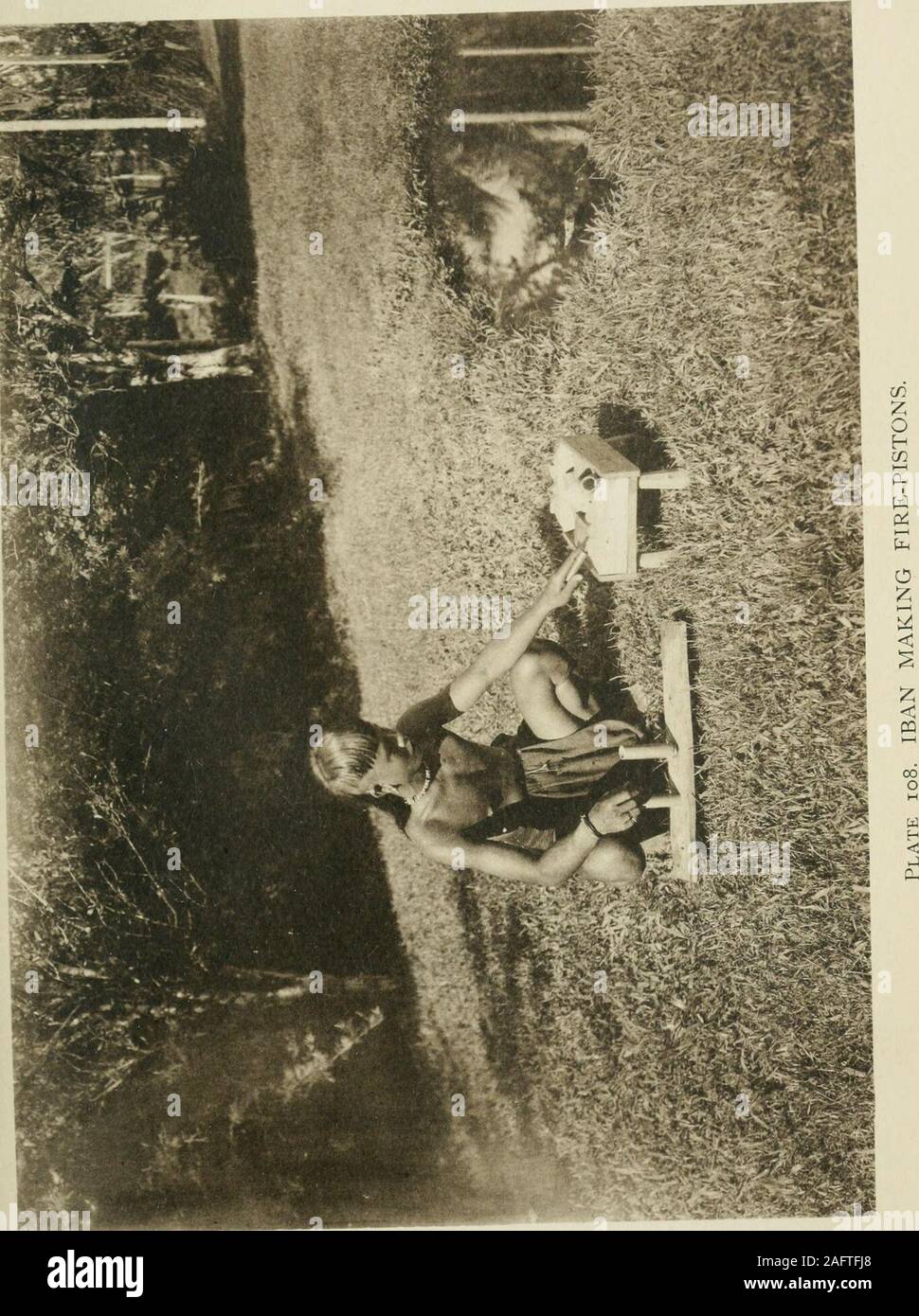 Hacking jungle hi-res stock photography and images - Alamy