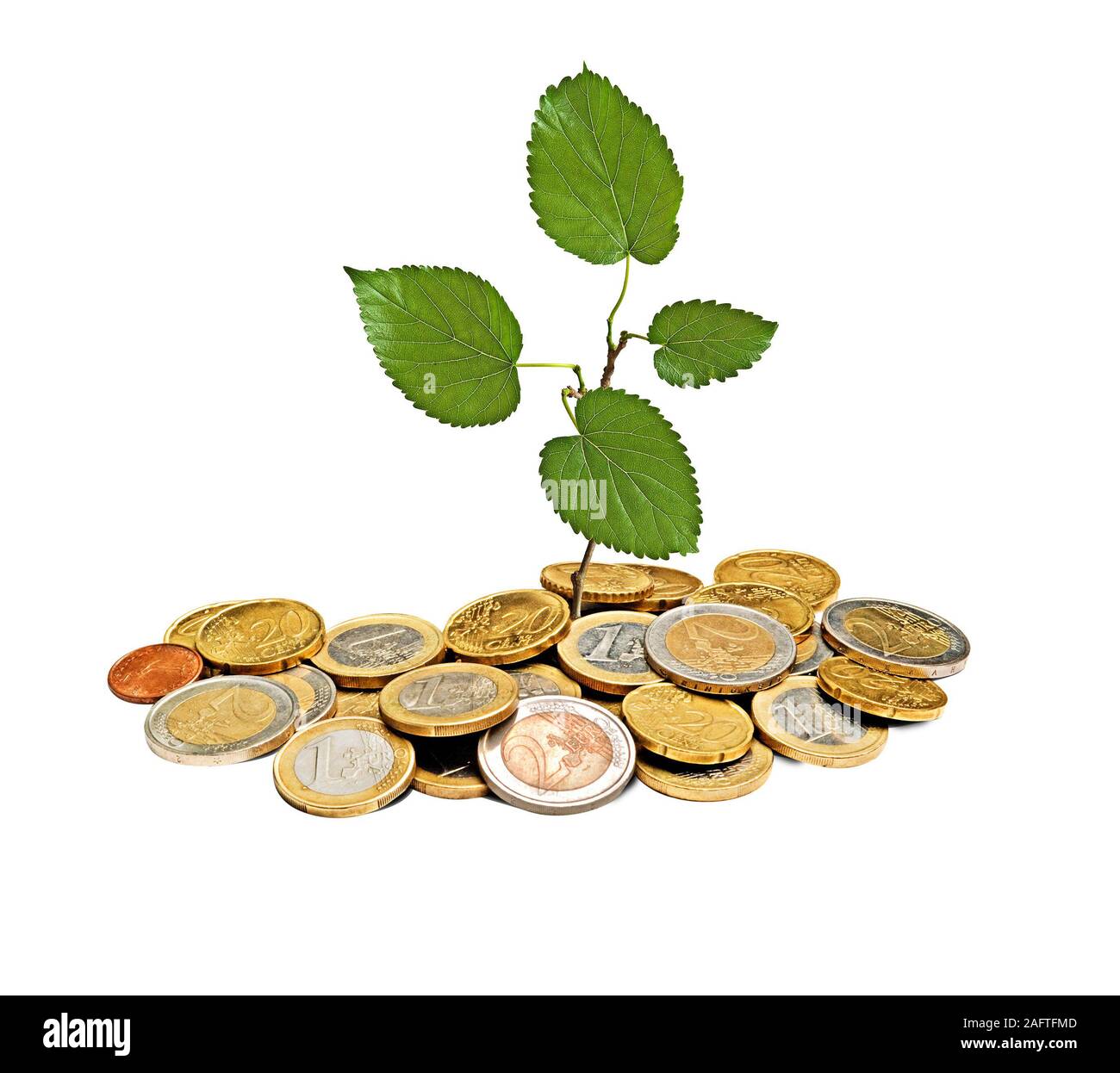 Tree growing from pile of coins Stock Photo - Alamy