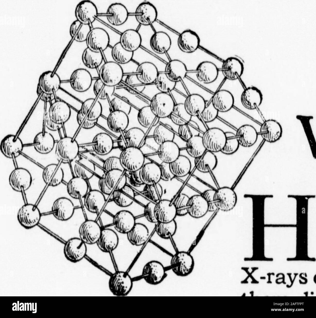 Echo skeleton Black and White Stock Photos & Images - Alamy