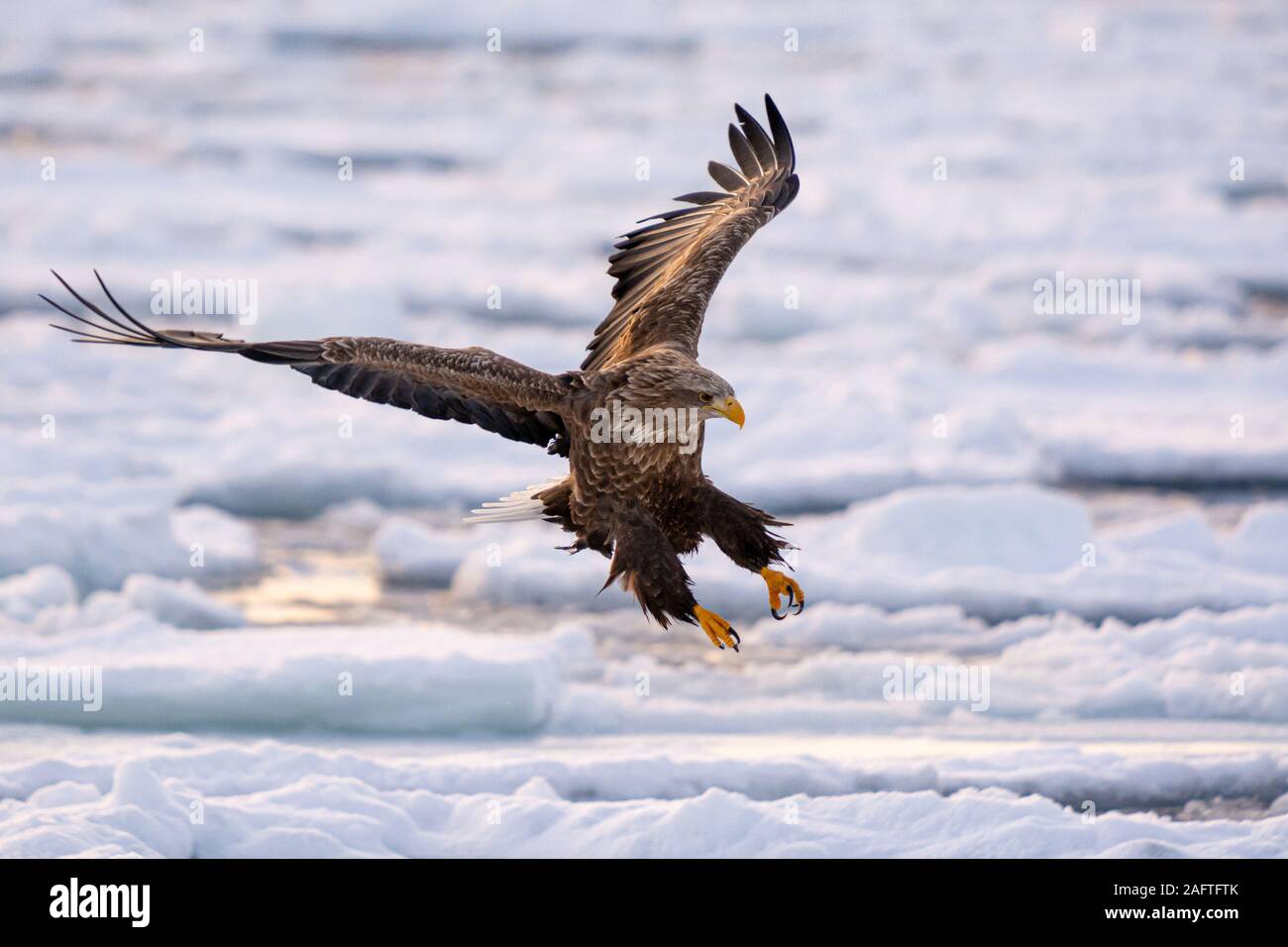 Hokkaido island ice hi-res stock photography and images - Alamy