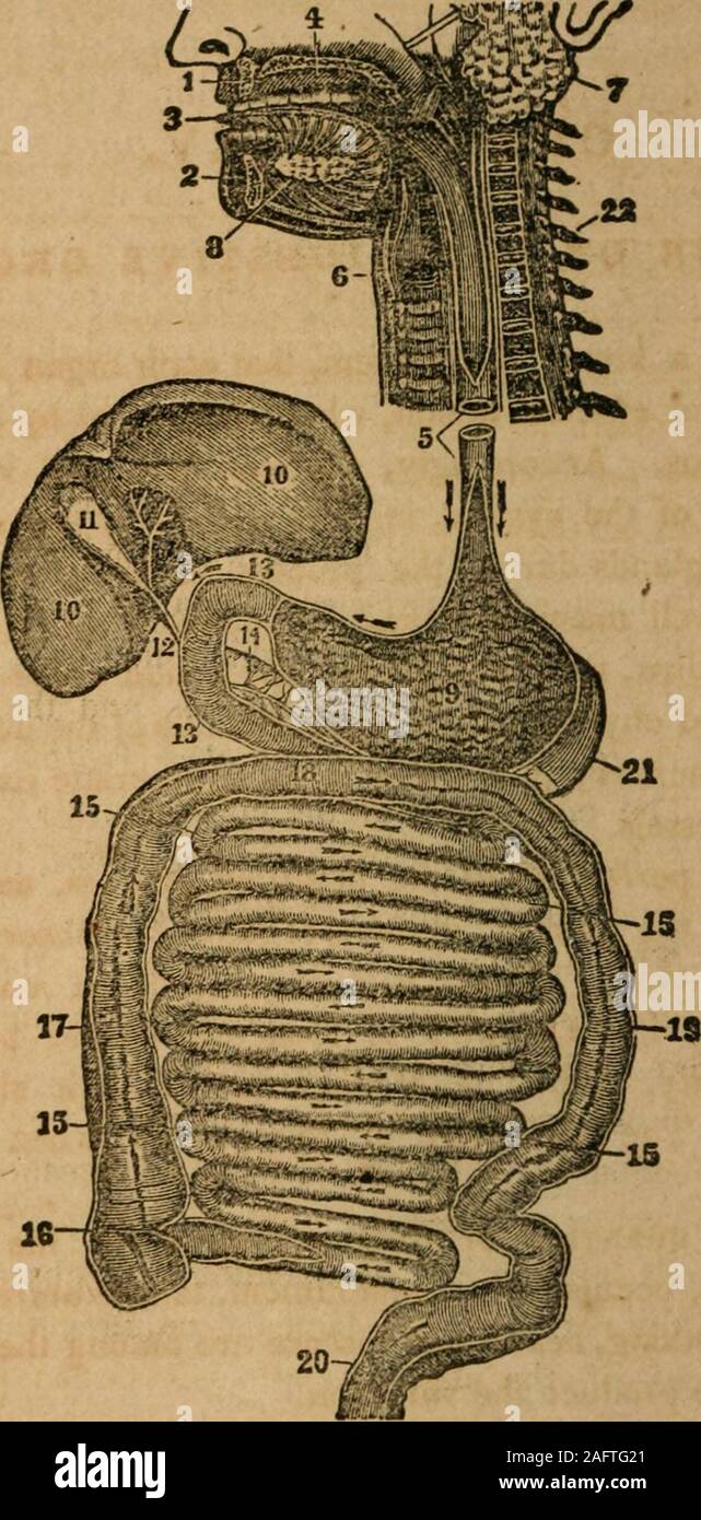 Milk like appearance hi-res stock photography and images - Alamy