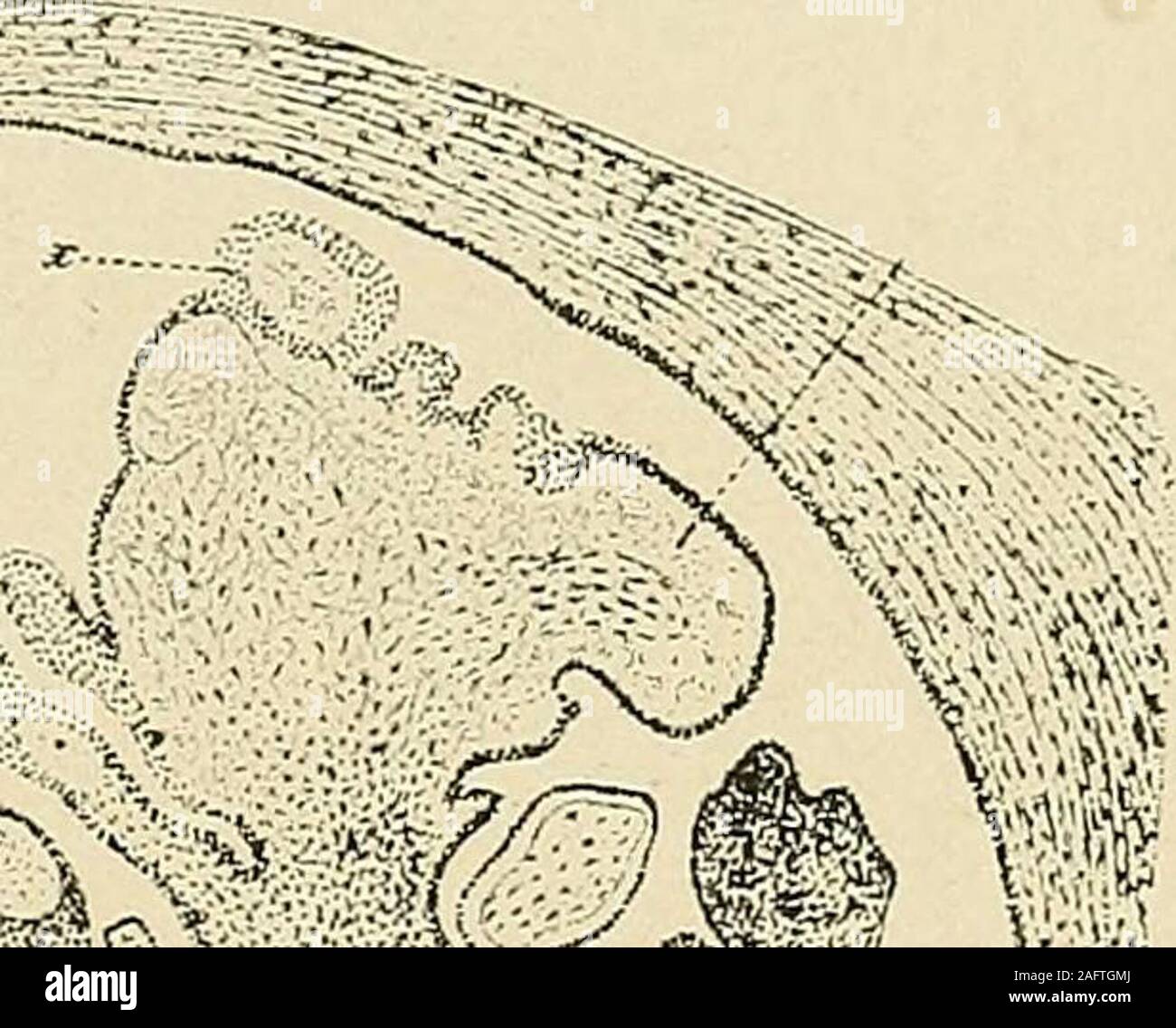 . The diagnosis and treatment of diseases of women. ;3|f^Wlfc>^ ^i ii ...