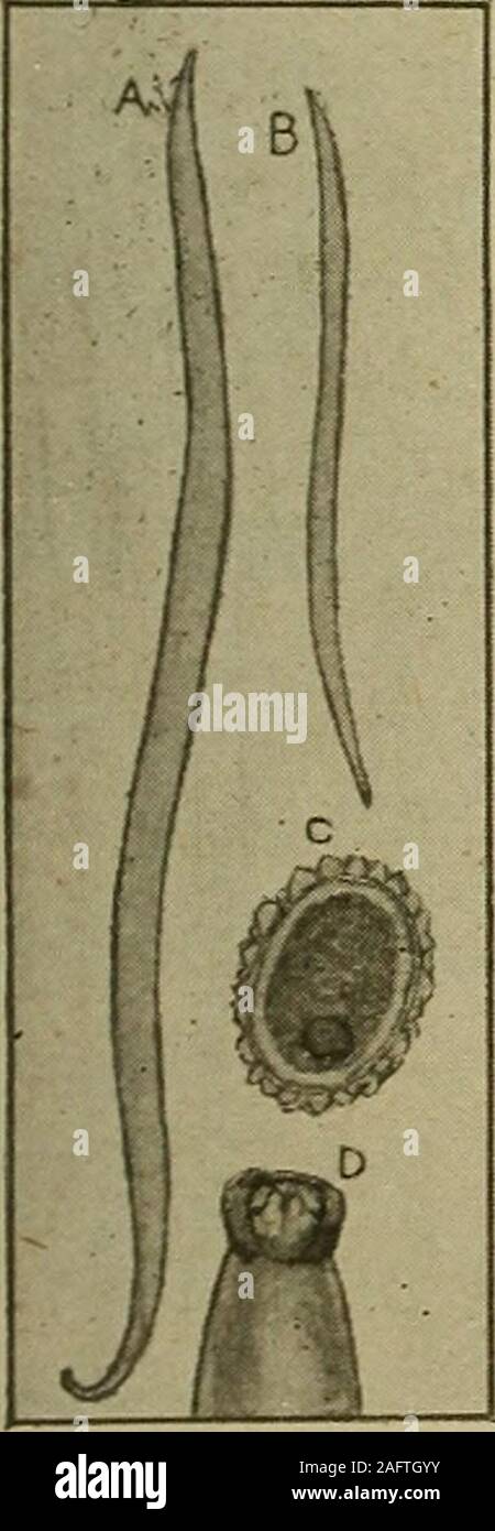 . Medical diagnosis for the student and practitioner. nces in which the ...